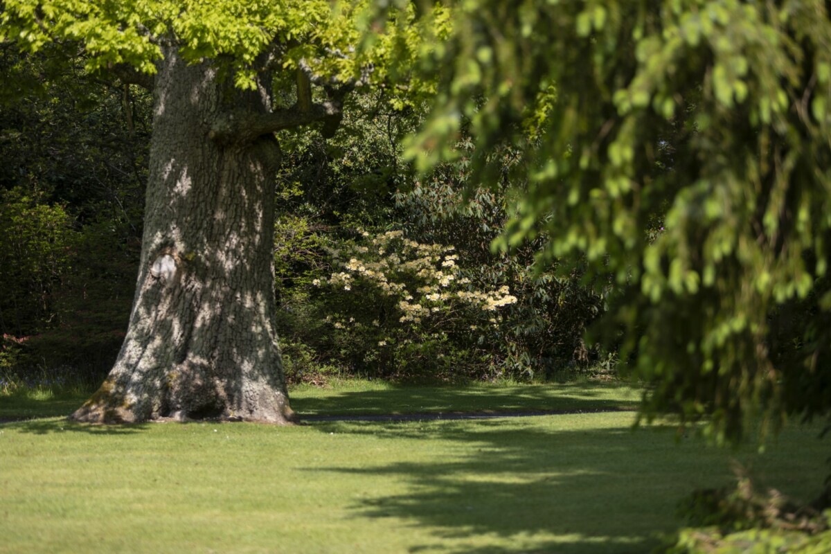Broich House | Stirlingshire | Golf & Whiskey | Sleeps 14