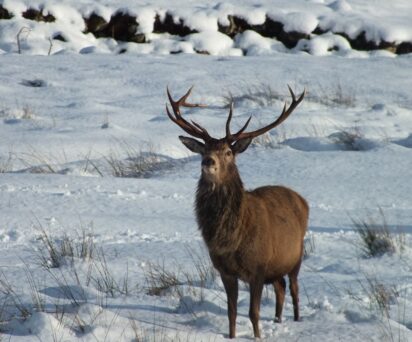 Dalness Lodge | Glen Etive, Argyll | Fishing & Views | Sleeps 15