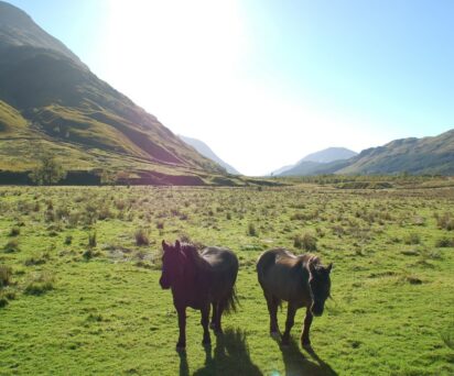 Dalness Lodge | Glen Etive, Argyll | Fishing & Views | Sleeps 15
