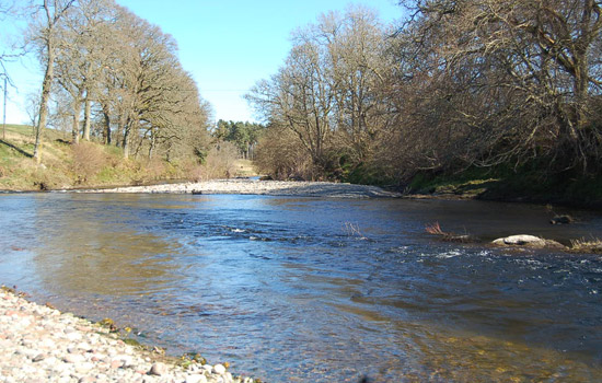 Inshewan | Angus | Salmon Fishing | Fishing